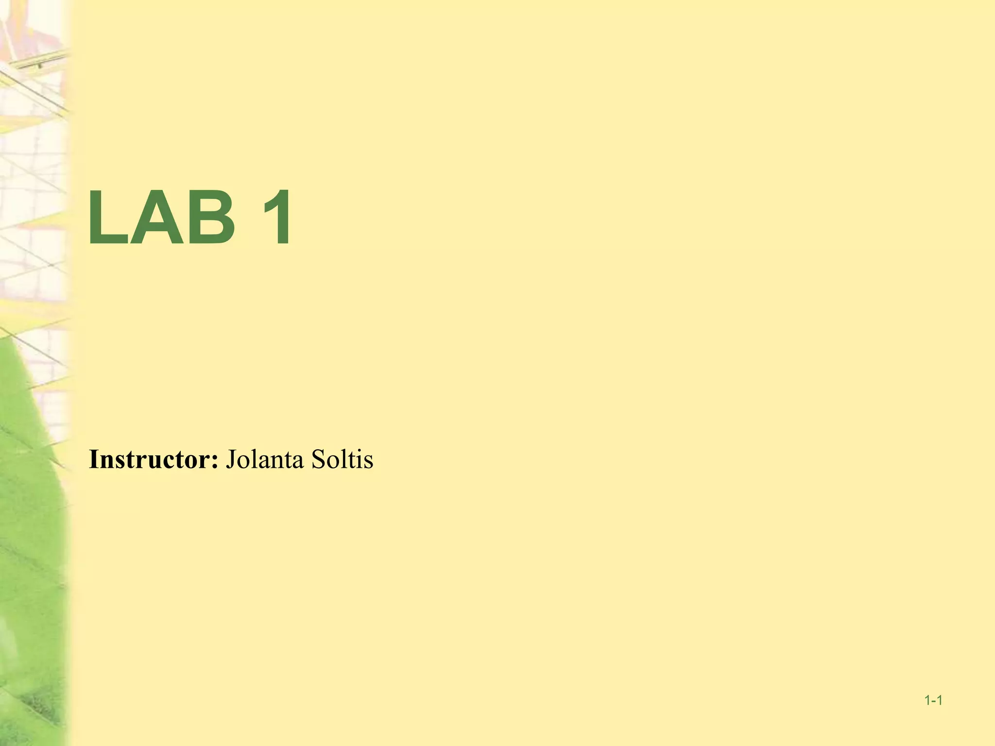 lab1.ppt