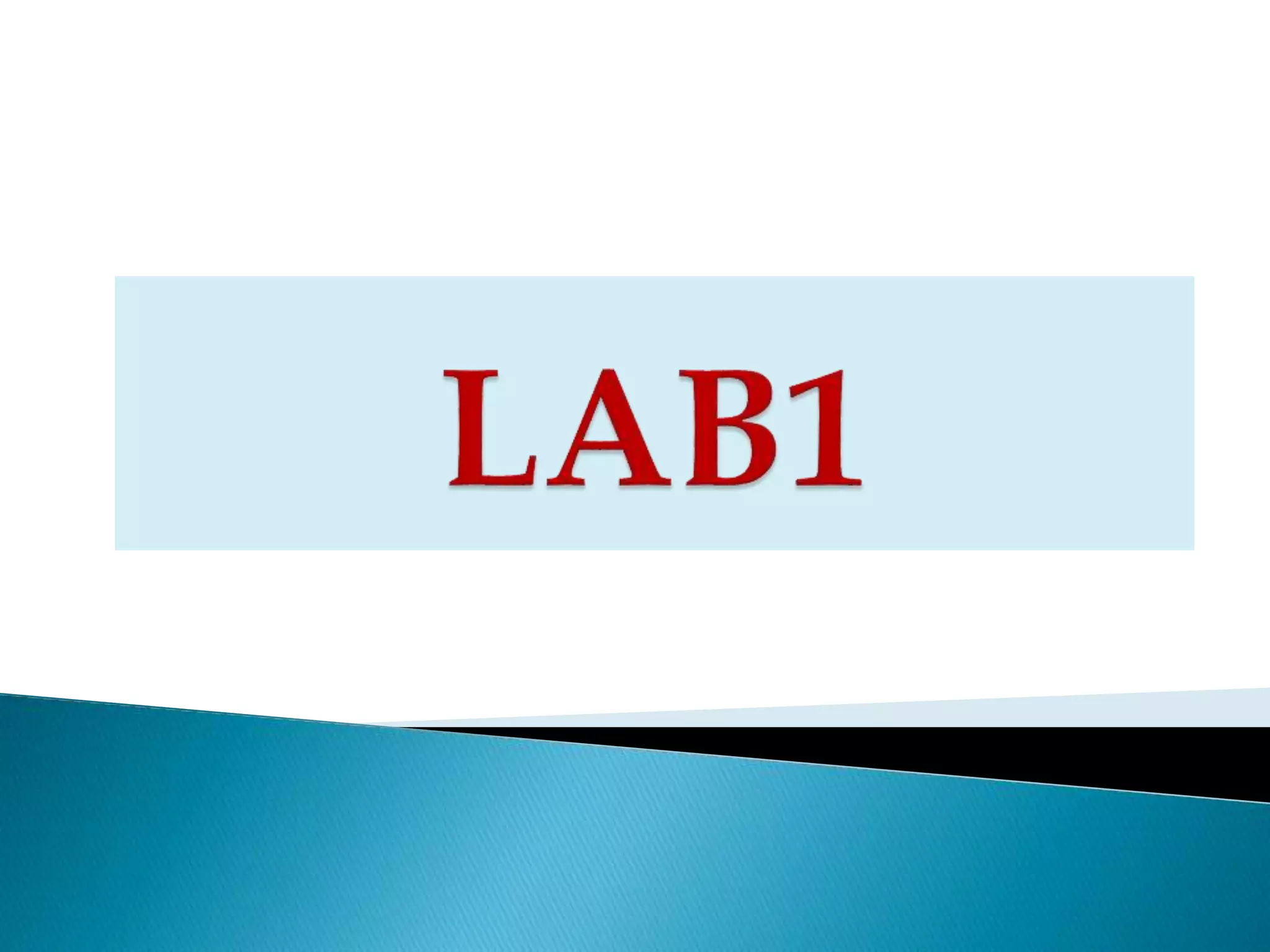 LAB1.pptx