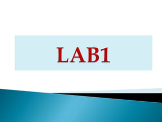 LAB1.pptx