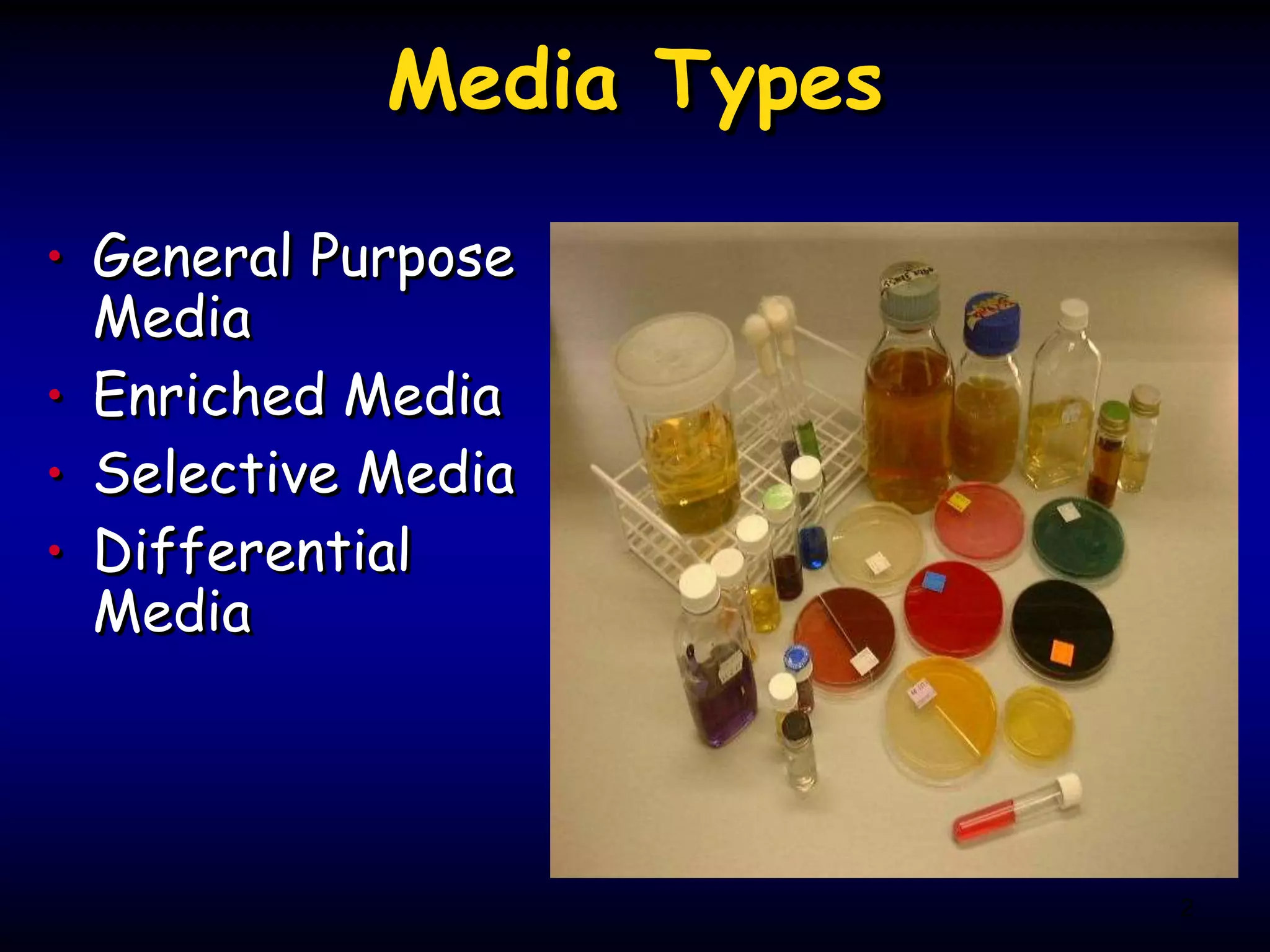 lab1.ppt