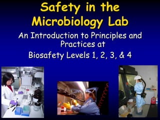 lab1.ppt