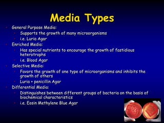 lab1.ppt