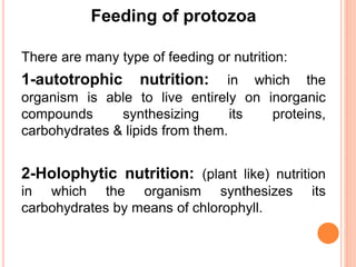 LAB 1 Protozoa Protozoa Protozoa .pptx