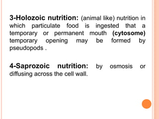 LAB 1 Protozoa Protozoa Protozoa .pptx