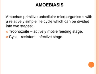 LAB 1 Protozoa Protozoa Protozoa .pptx