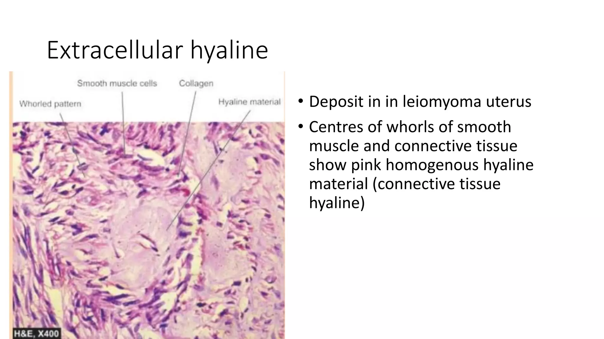 LAB 1 - cell injury.pdf
