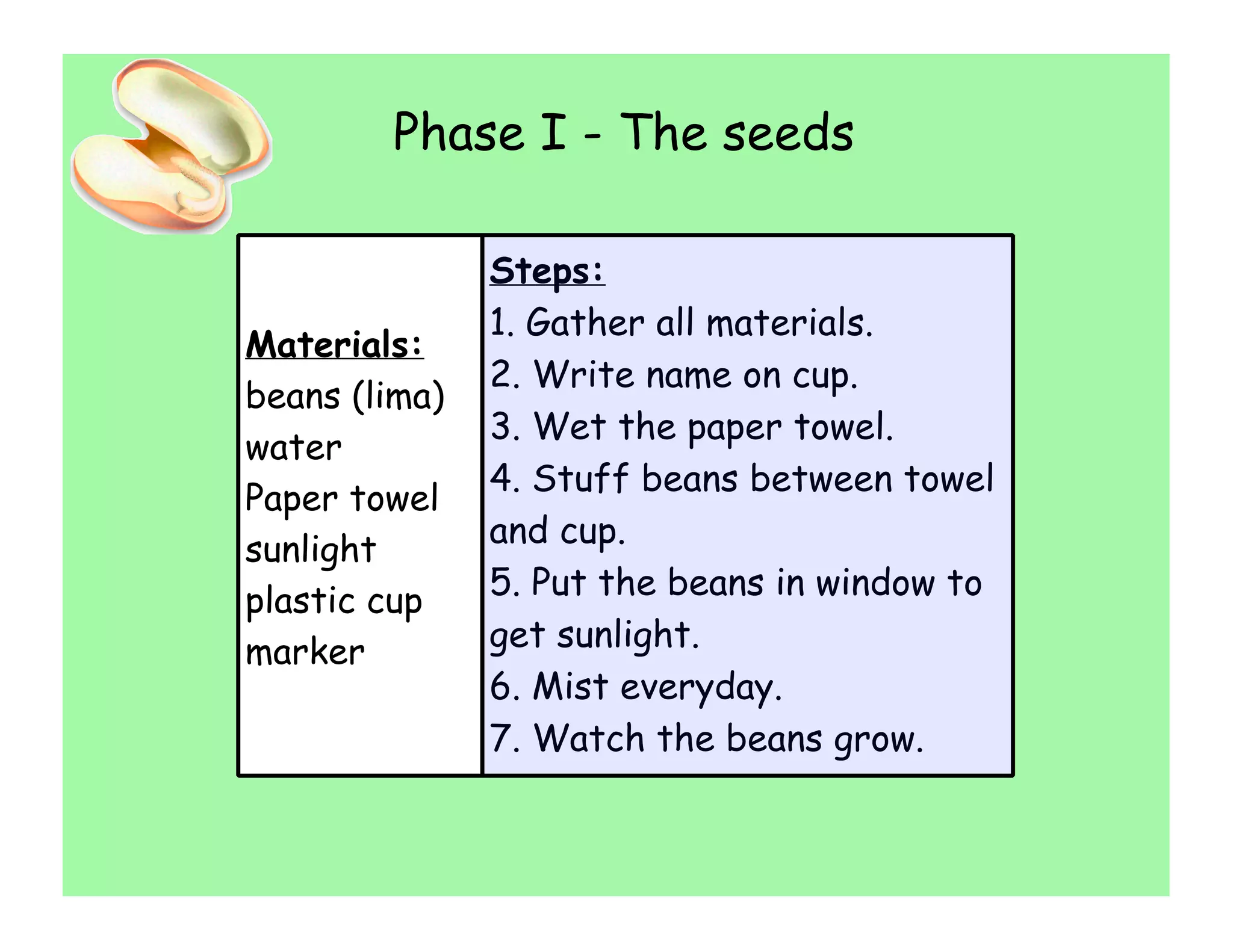 Lab 1 how a plant grows | PDF