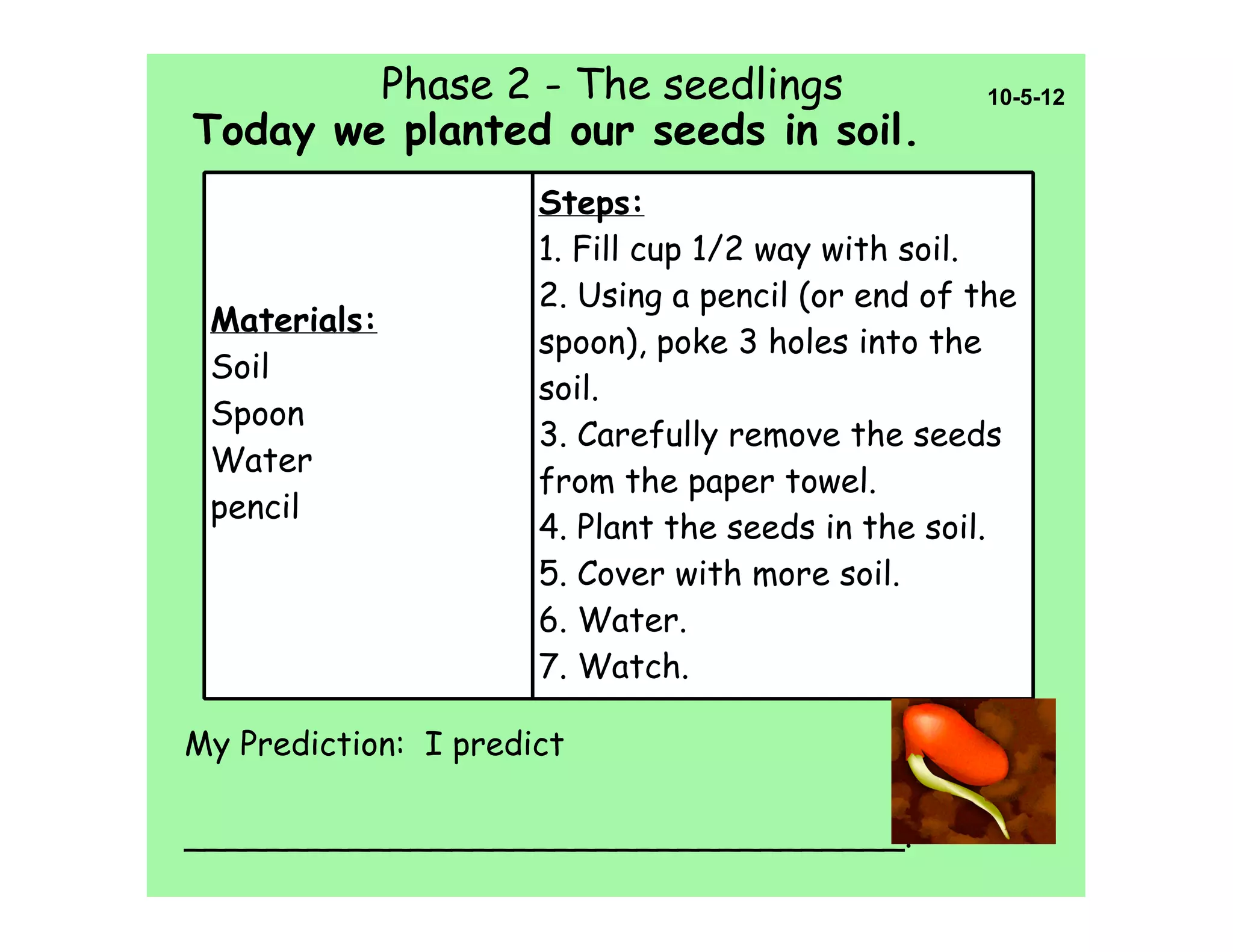 Lab 1 how a plant grows | PDF