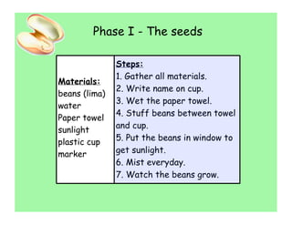 Lab 1 how a plant grows | PDF