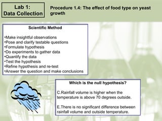 Lab 1 powerpoint | PPT