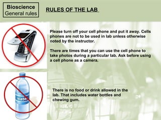 Lab 1 powerpoint | PPT