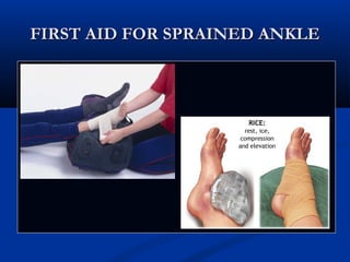 Lab 1 safety first aid | PPT