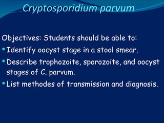Lab 10 cryptosporidiosis | PPT