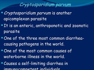 Lab 10 cryptosporidiosis | PPT
