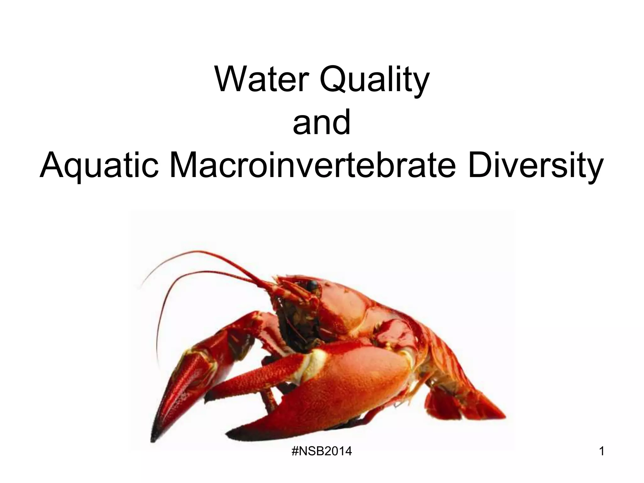 Lab 10 water quality and macroinvertebrate diversity fall 2014 | PPTX