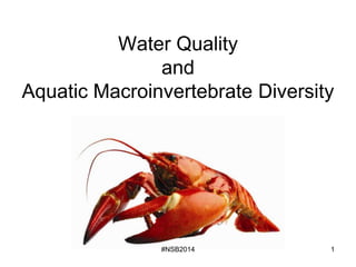 Lab 10 water quality and macroinvertebrate diversity fall 2014 | PPTX