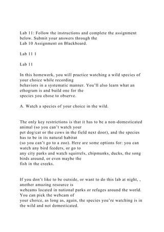 Lab 10 Follow the instructions and complete the assignment be.docx