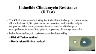 Inducible Clindamycin Resistance Test | PPTX
