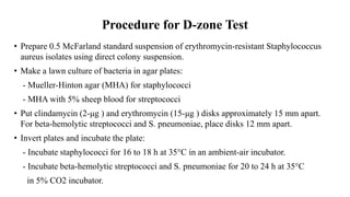 Inducible Clindamycin Resistance Test | PPTX