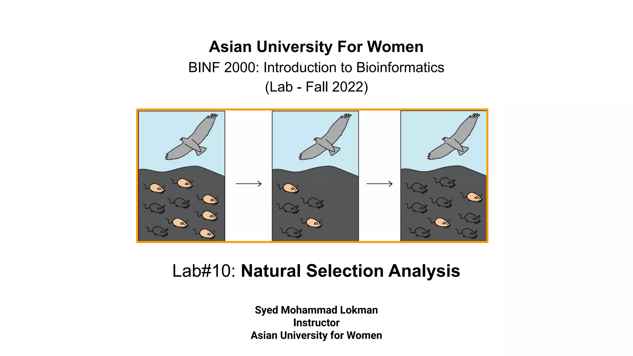 Natural Selection Analysis: Part1 | PPT