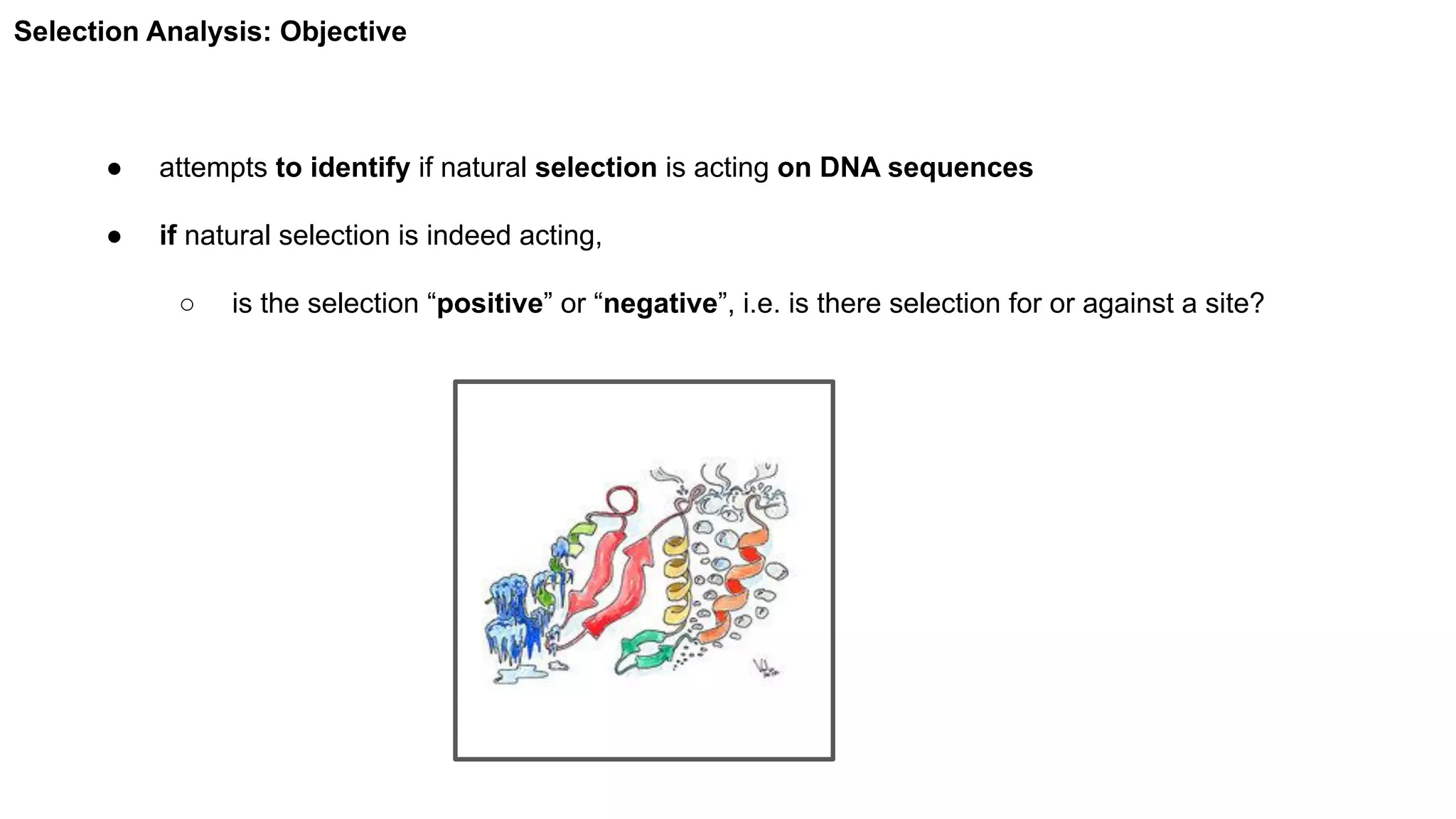Natural Selection Analysis: Part1 | PDF