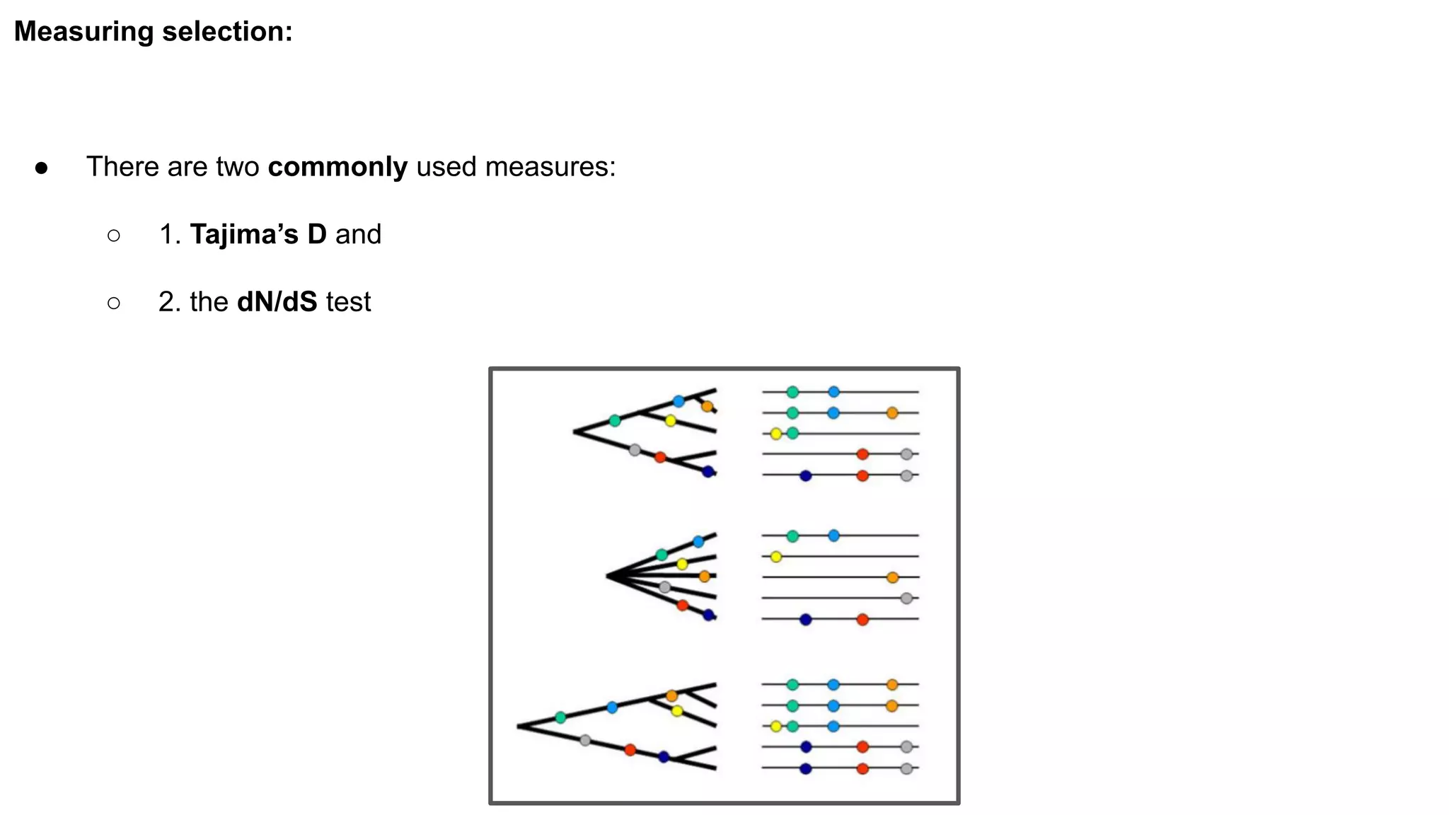 Natural Selection Analysis: Part1 | PPT