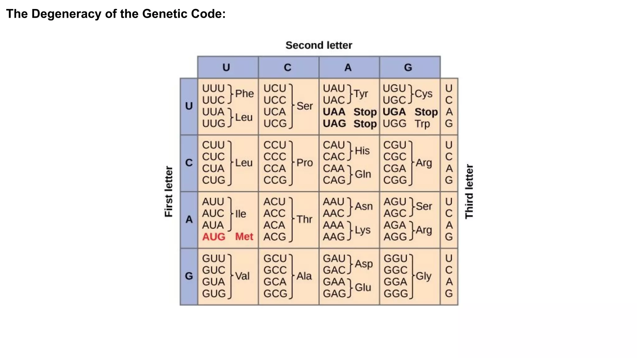 Natural Selection Analysis: Part1 | PPT