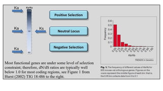 Natural Selection Analysis: Part1 | PDF