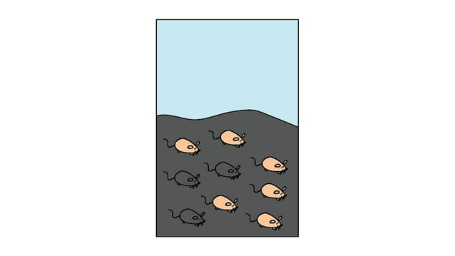 Natural Selection Analysis: Part1 | PPT
