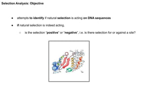 Natural Selection Analysis: Part1 | PDF