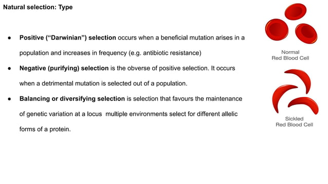 Natural Selection Analysis: Part1 | PPT