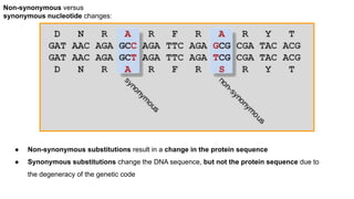 Natural Selection Analysis: Part1 | PDF
