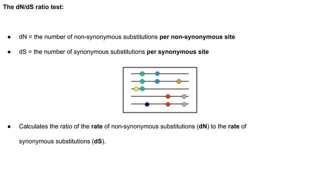 Natural Selection Analysis: Part1 | PPT