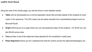 Natural Selection Analysis: Part2 | PDF