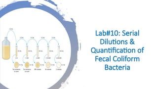 Laboratory how to_10_Serial_Dilution.pptx
