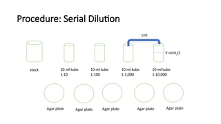 Laboratory how to_10_Serial_Dilution.pptx