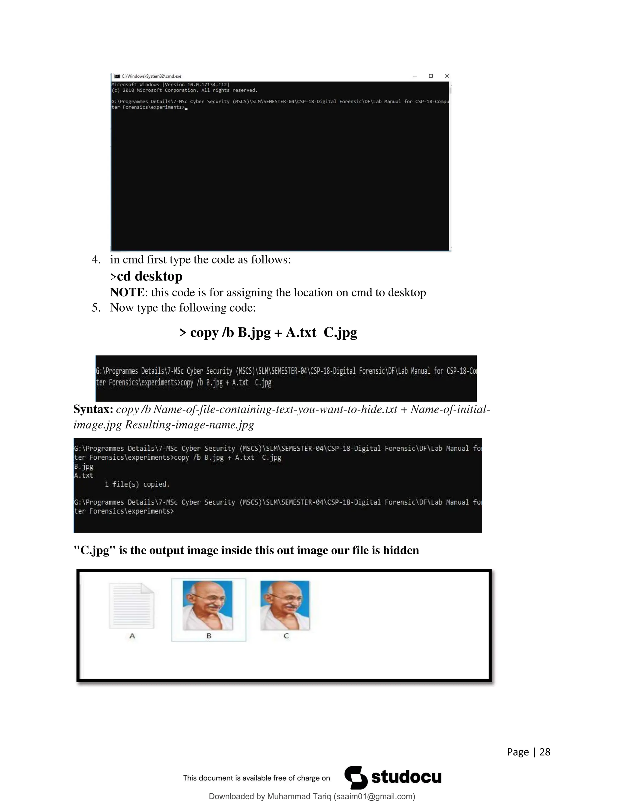 Digital Forensics Lab Experiment for Text File behind Audio File | PDF