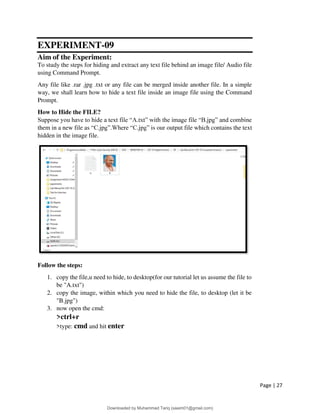 Digital Forensics Lab Experiment for Text File behind Audio File | PDF