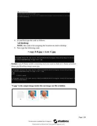Digital Forensics Lab Experiment for Text File behind Audio File | PDF | Free Download