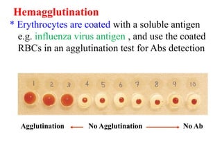lab 11 -SerologyI 2021.pptx serology 2021 | PPTX