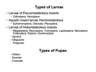 Lab11 entomology | PPT