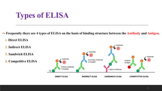 Lab 11 Lec_ELISA (2).pdf