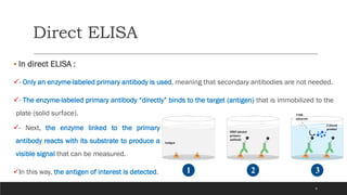 Lab 11 Lec_ELISA (2).pdf