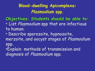Lab 11 plasmodium | PPT | Reproductive Health | Diseases and Conditions