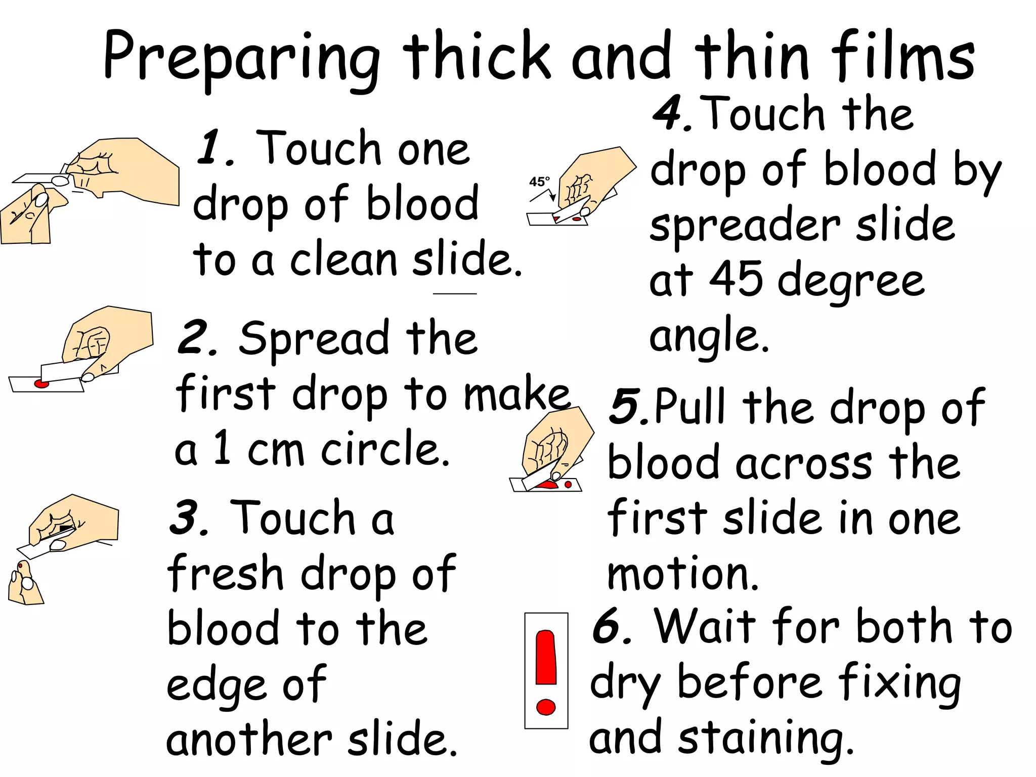 Lab 12 blood film | PPT