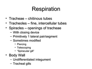 Lab12 entomology (1) | PPT | Biological Sciences | Science