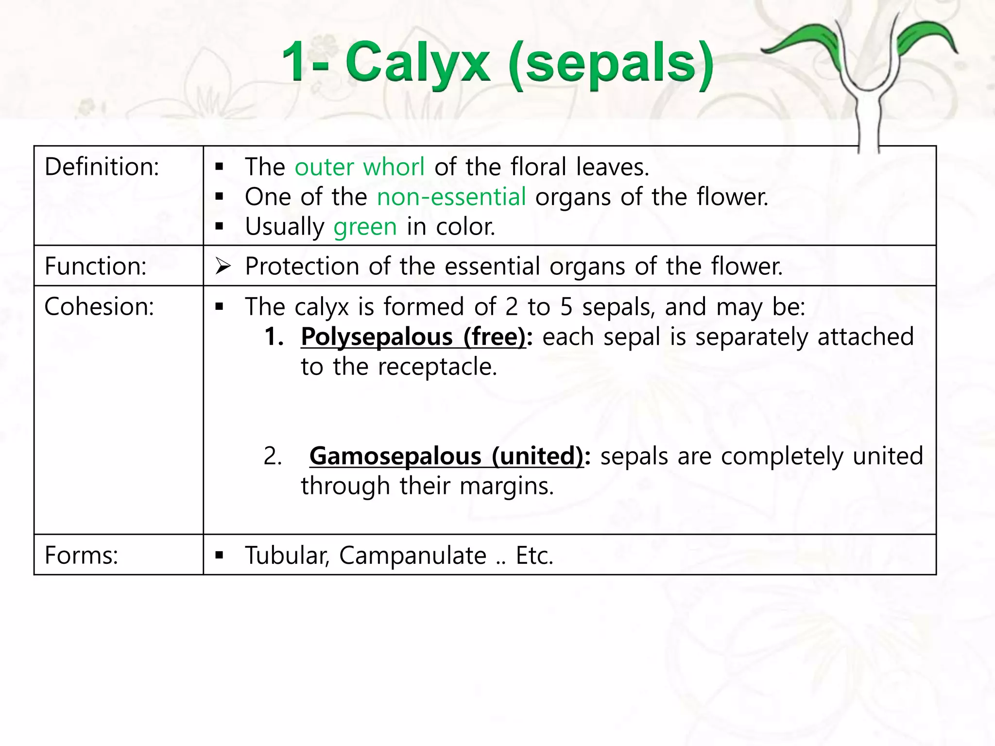 Flowers: Introduction , clove | PPTX