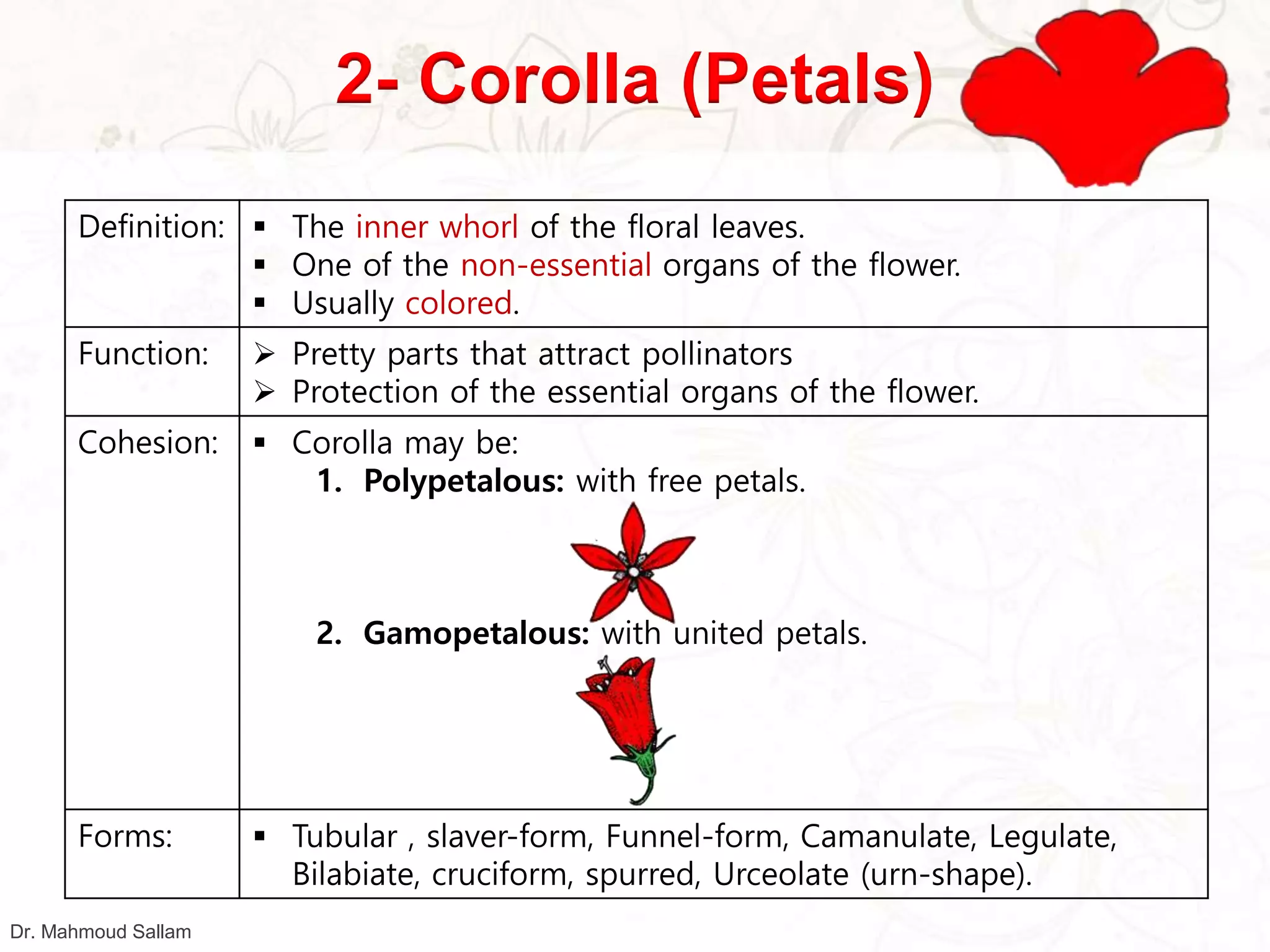 Flowers: Introduction , clove | PPTX