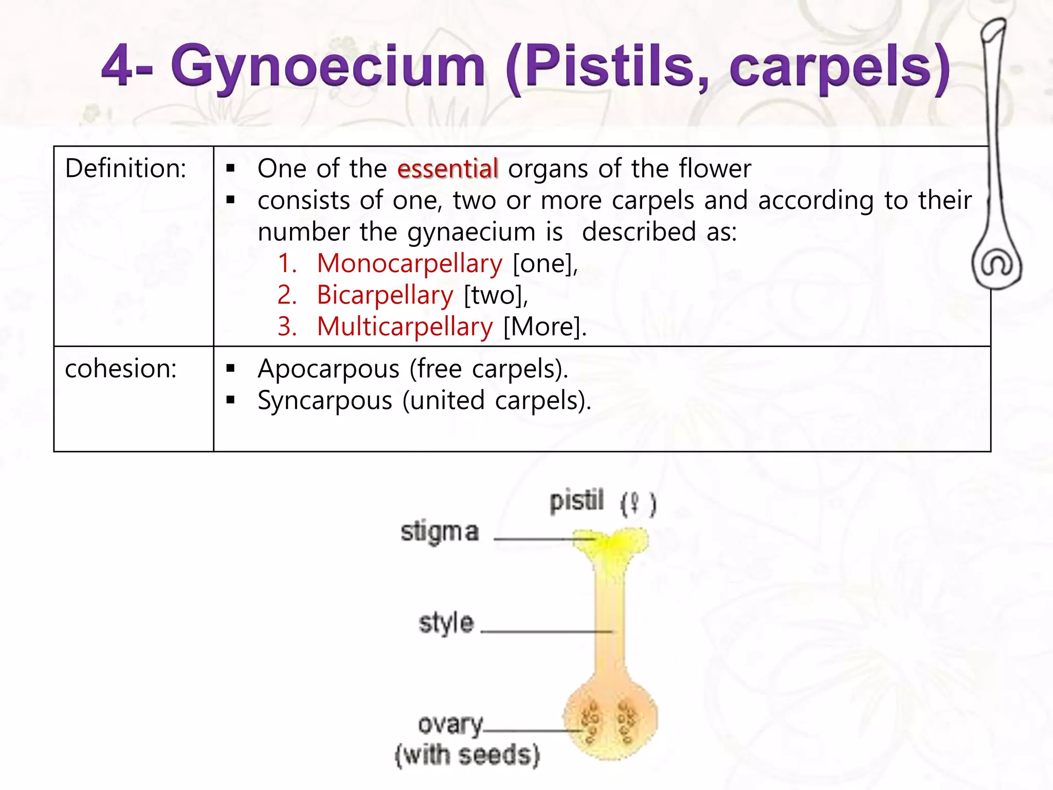 Flowers: Introduction , clove | PPTX