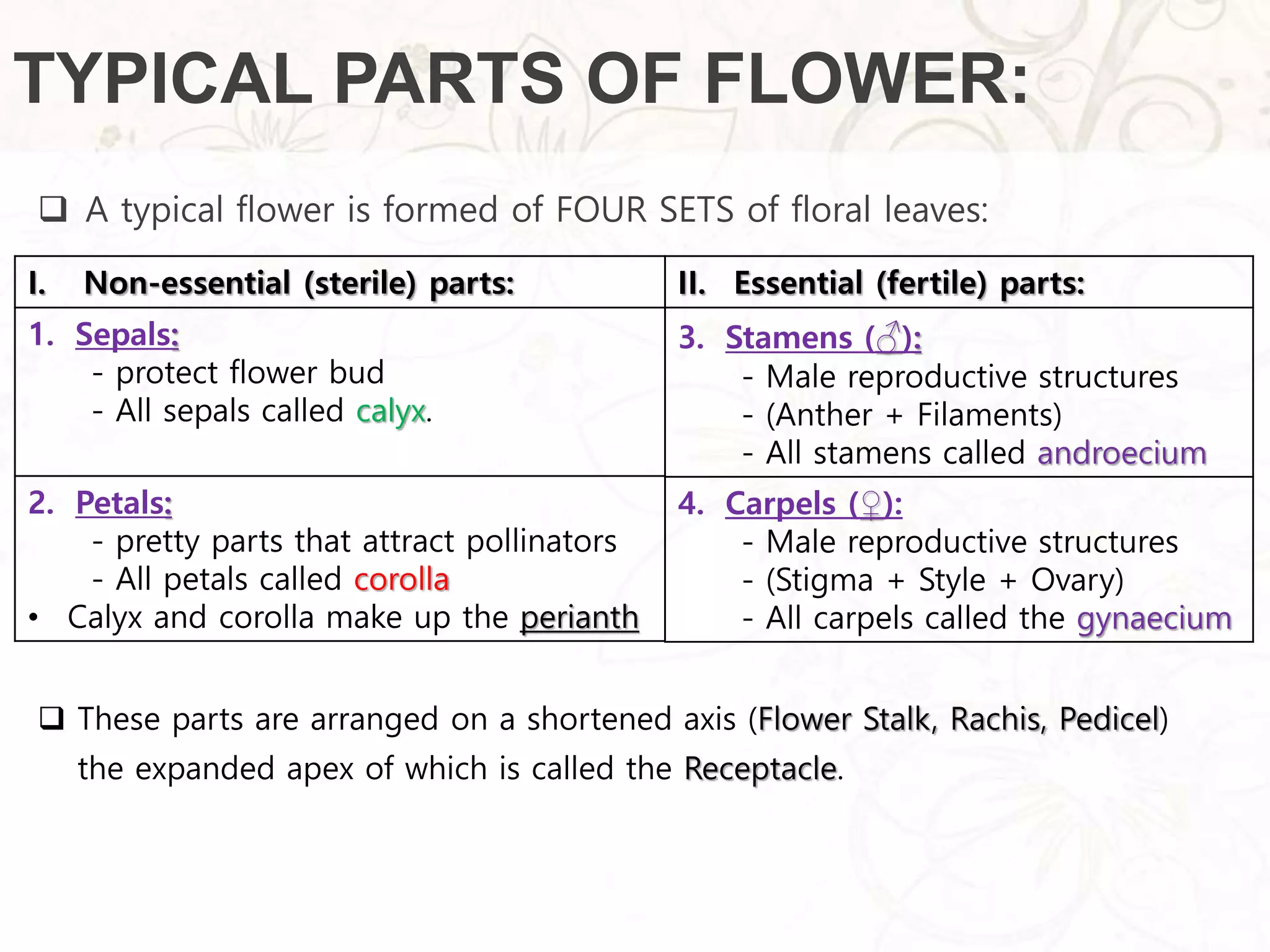 Flowers: Introduction , clove | PPTX